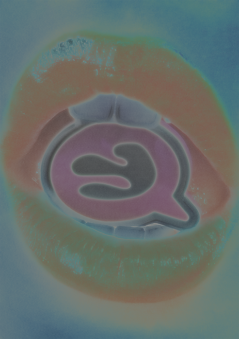 POP-UP Event 限定褔袋 – YACK STUDIO